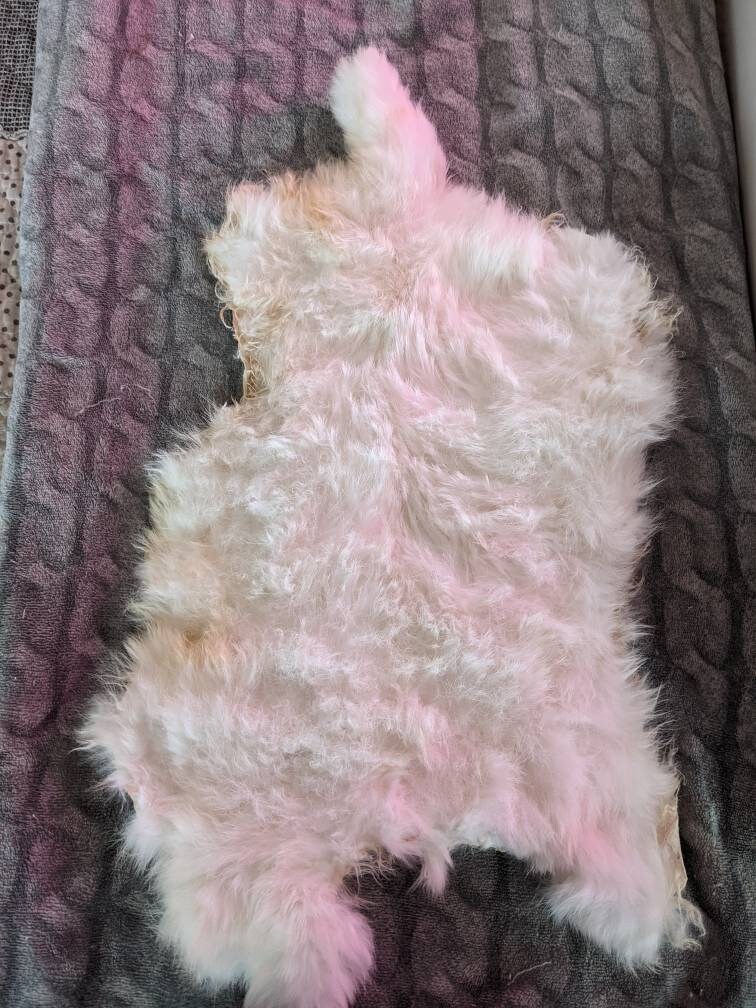 Rabbit Fur Pelt - White - Etsy