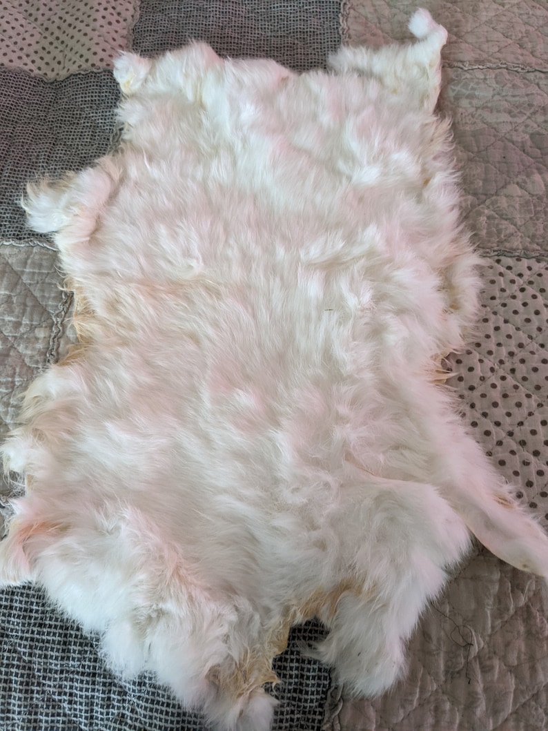Rabbit Fur Pelt White - Etsy