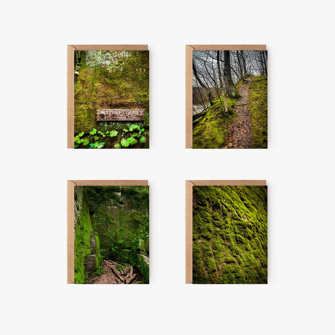 Moss Greeting Card Variety Pack - Etsy