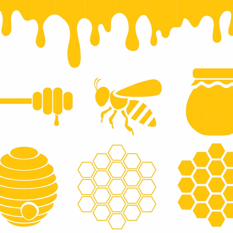 Honeycomb Svg - Etsy