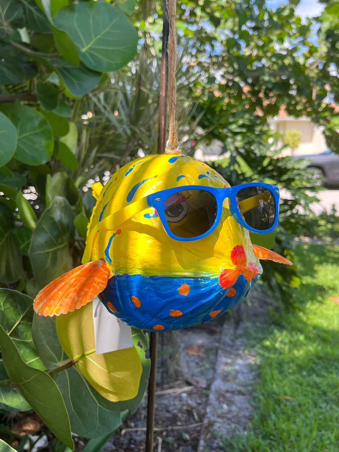 Coco-fish and Friends - Etsy