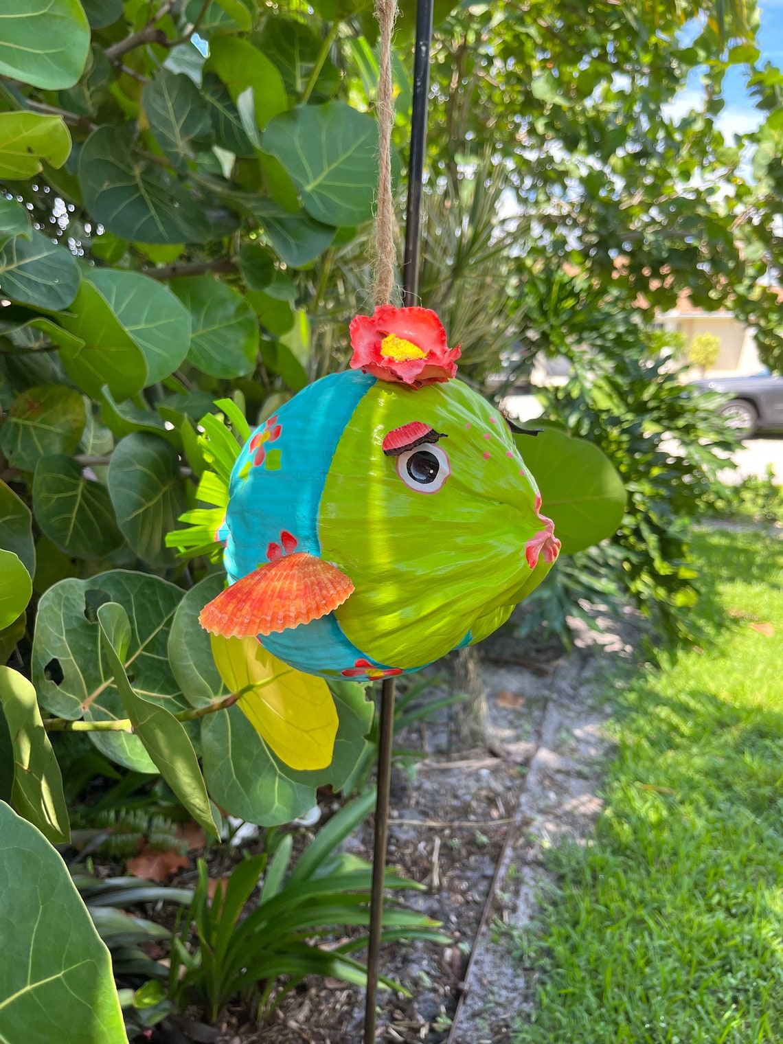 Coco-fish and Friends - Etsy