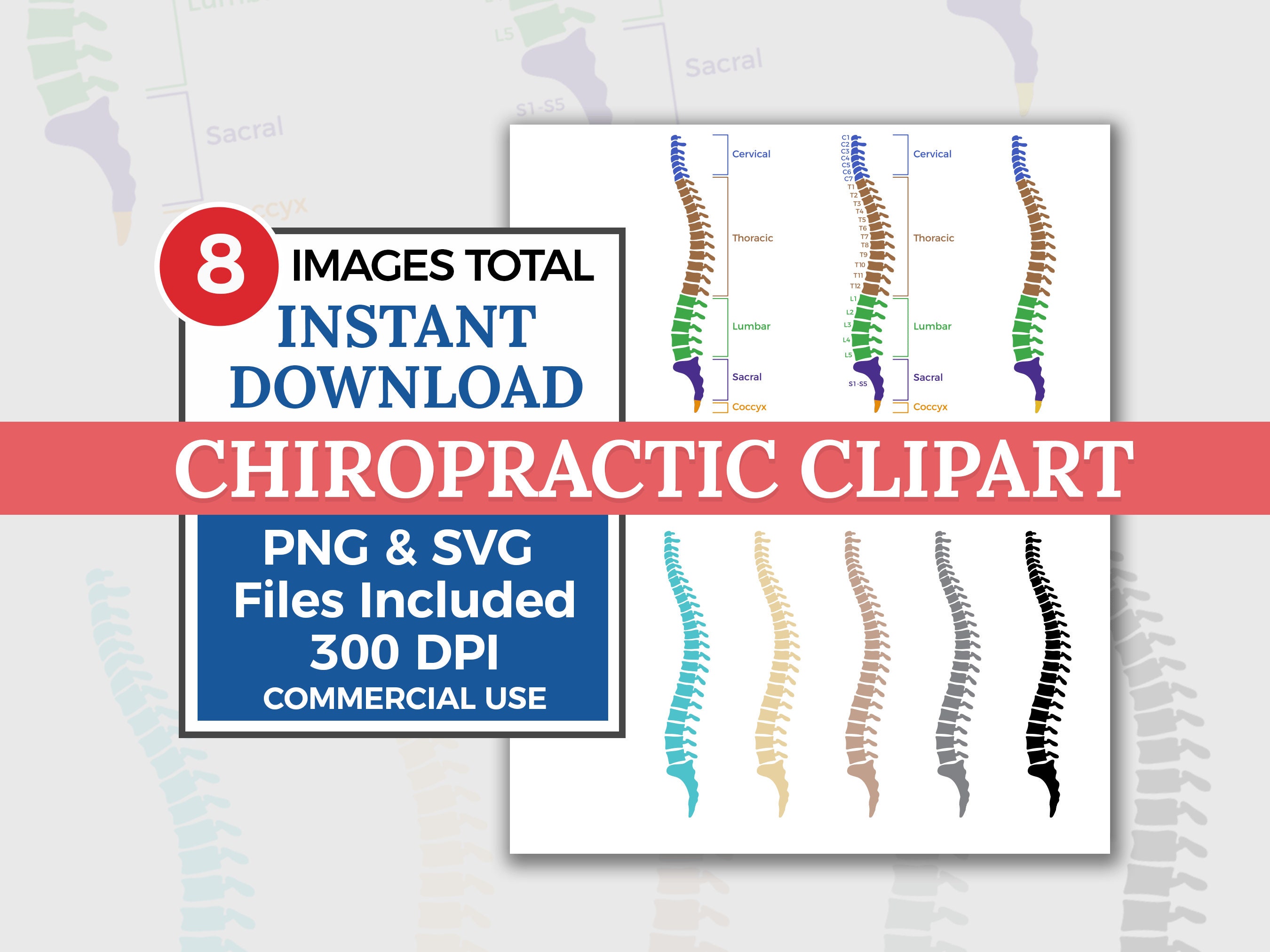 Chiropractic Spine Clipart