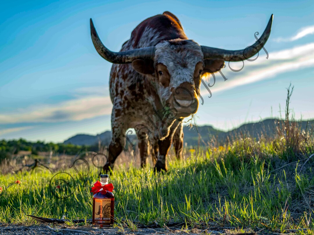 Balcones Texas Bock Wall Photo Print, Texas Whiskey Canvas Photo, Texas ...