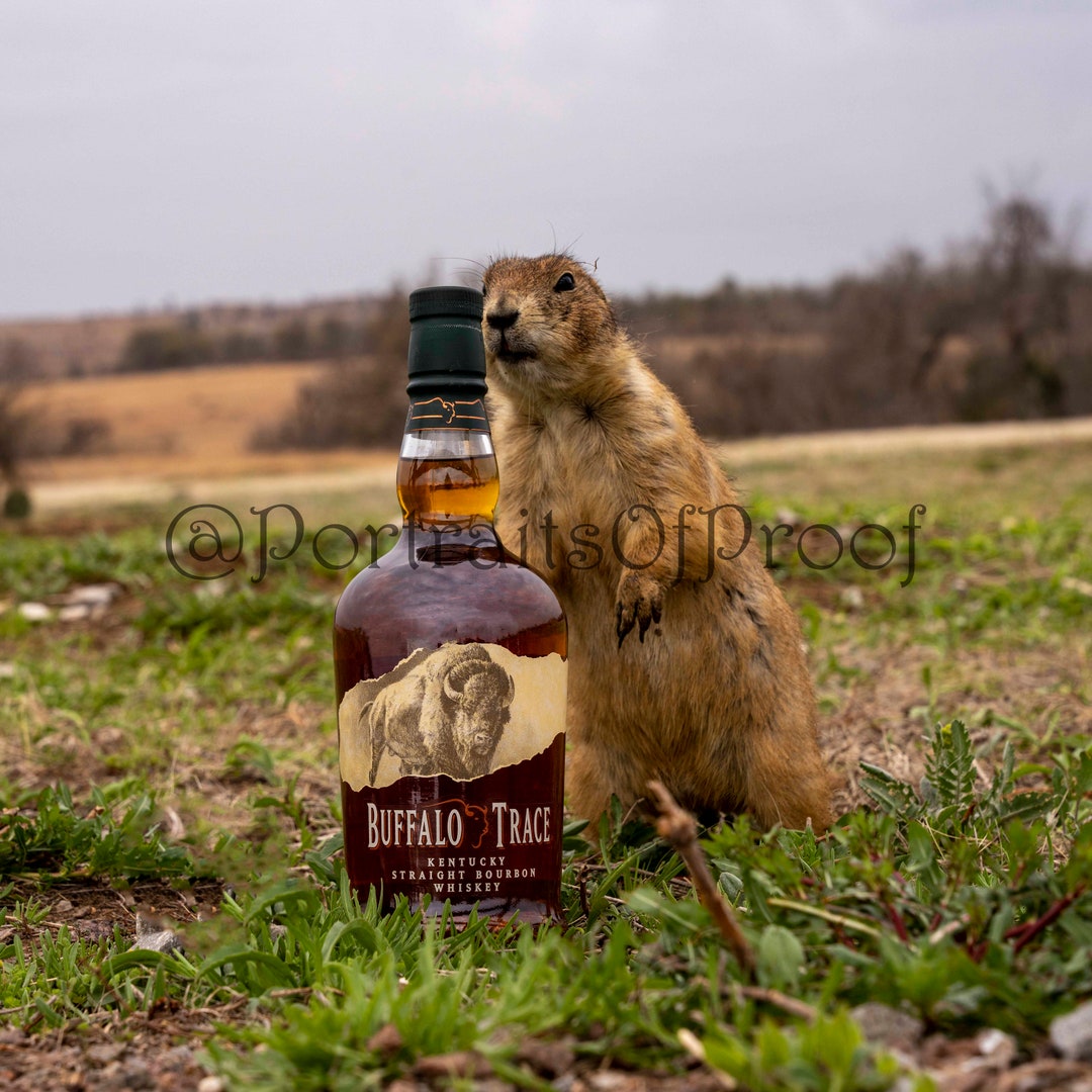 Buffalo Trace Bourbon Whiskey Wall Photo Print, Kentucky Whiskey Canvas ...