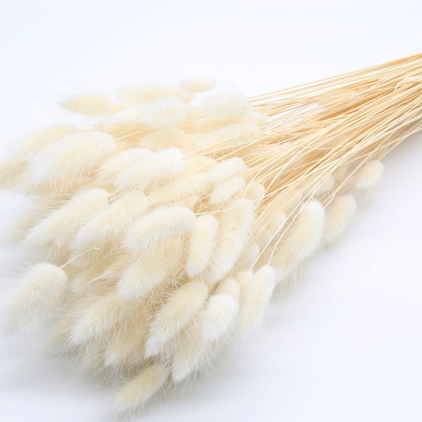 Dried Bunny Tails - Etsy