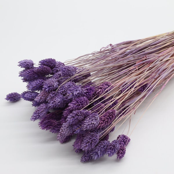 Purple Dried Flower - Etsy