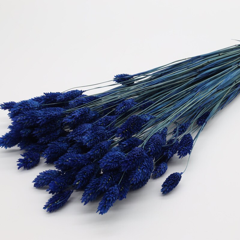 Navy Blue Flowers - Etsy