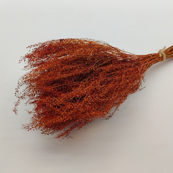 Orange Dried Grasses - Etsy