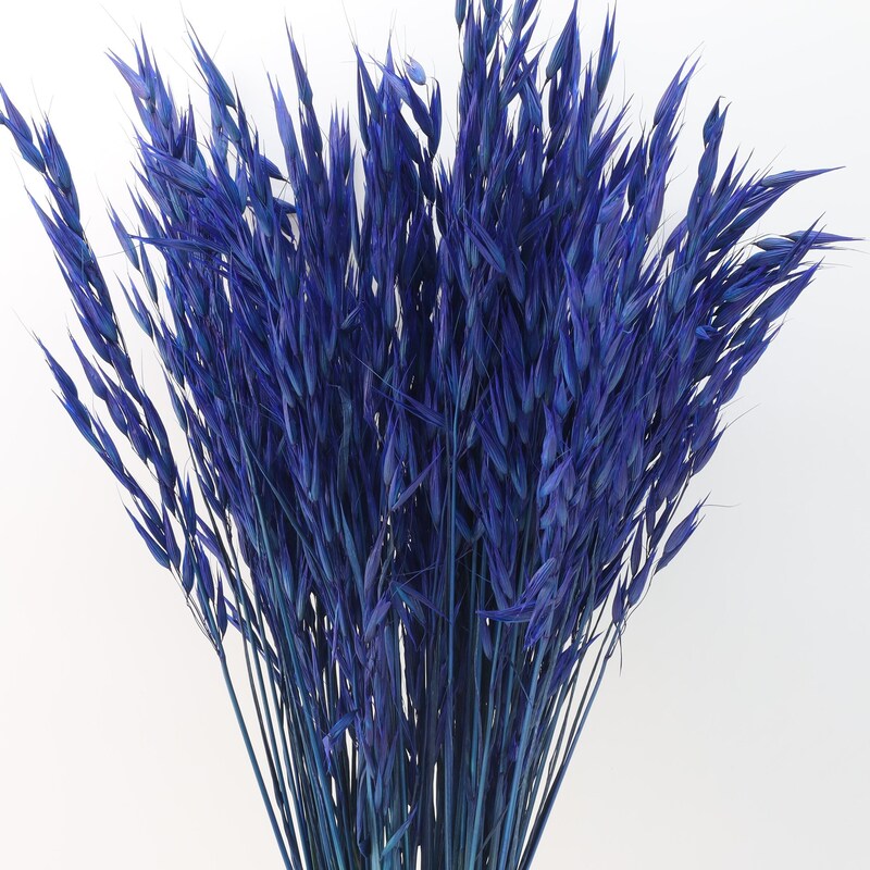 Blue Dried Flowers - Etsy