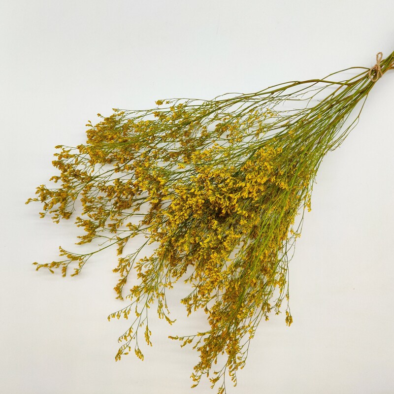 Yellow Dried Flowers - Etsy