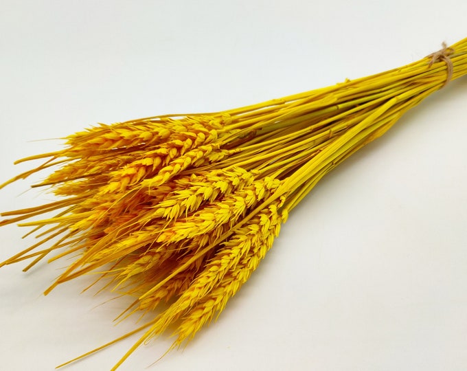 Navy Blue Dried Linum 80 Grams Dark Blue Dried Flax Dried Flax Bunch ...