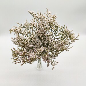 Dried Statice Bunch | White Wedding Flowers | Goniolimon Tataricum ...