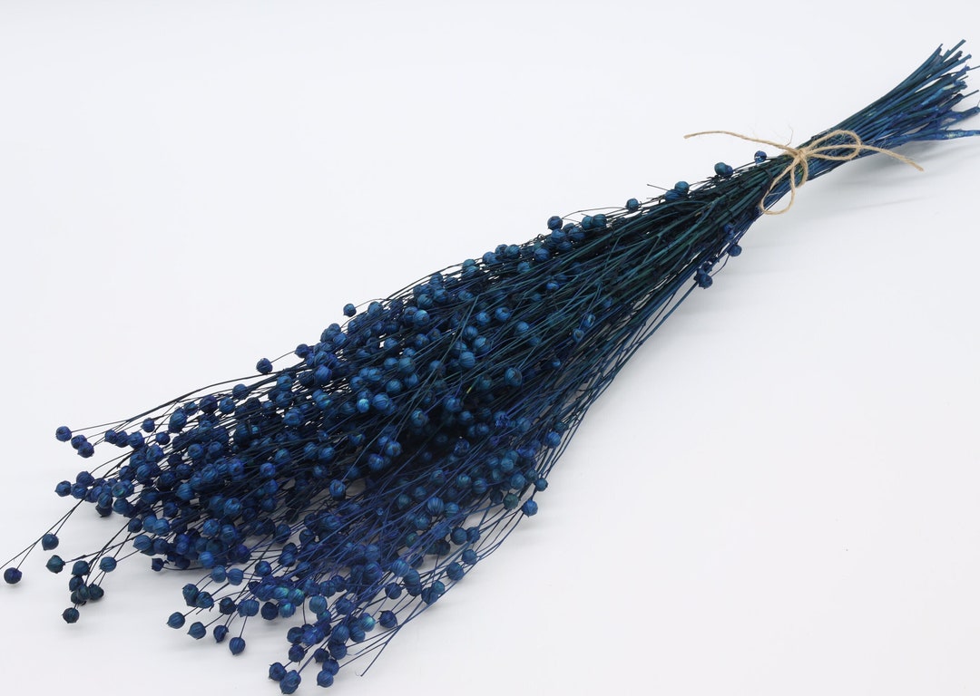 Navy Blue Dried Linum 80 Grams | Dark Blue Dried Flax | Dried Flax ...