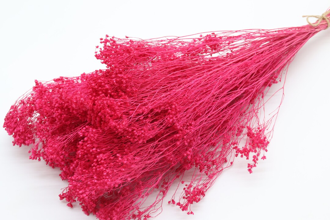 Bright Pink Bloom Broom Bunch Pink Wedding Decor Hot Pink Small Dried ...