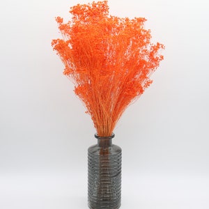Orange Broom Bloom Dried Grass Orange Bouquet Filler Dried Arrangements ...