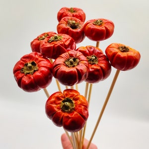 Dried Natural Pumpkins on Sticks | Fall Decoration | Miniature Pumpkins ...