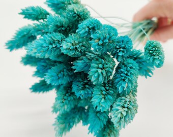 Blue Dried Flowers - Etsy