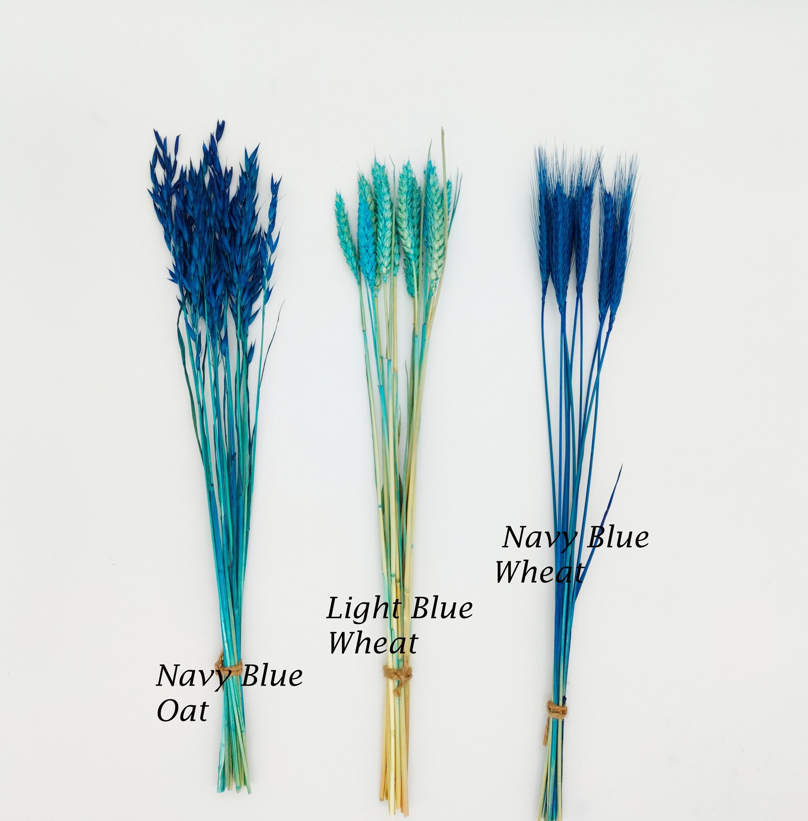 Blue Dried Flowers DIY Dried Flower Bouquet Create Your | Etsy