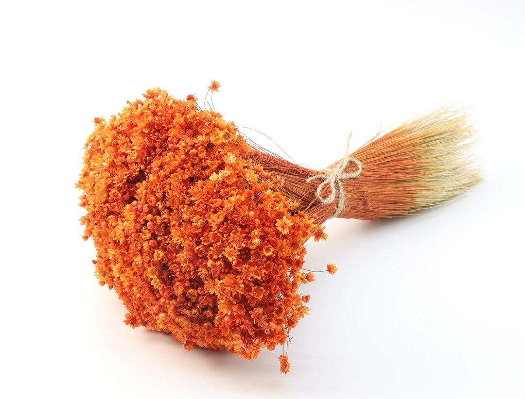 Orange Dried Glixia | Mini Dried Flowers | Small Dried Bouquet | Fall ...
