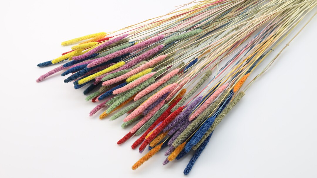 Colorful Dried Phleum Bunch | Multicolor Dried Timothy Bouquet | Rustic ...