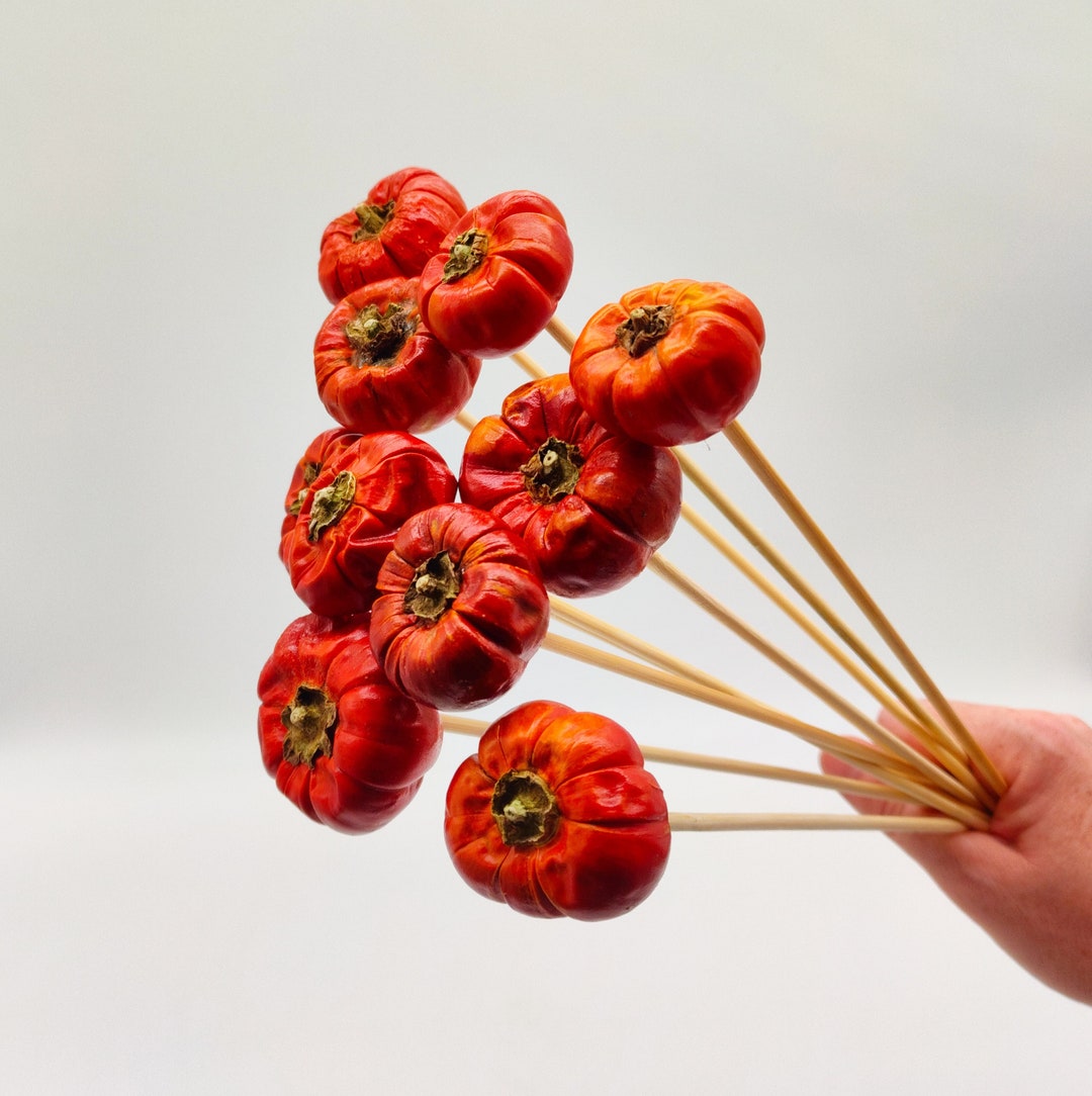 Dried Natural Pumpkins on Sticks | Fall Decoration | Miniature Pumpkins ...