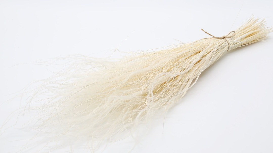 White Dried Stipa | Feather Stipa Pennata | Vase Filler | Wedding ...