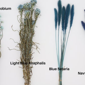 Blue Dried Flowers | DIY Dried Flower Bouquet | Create Your Own Dried ...