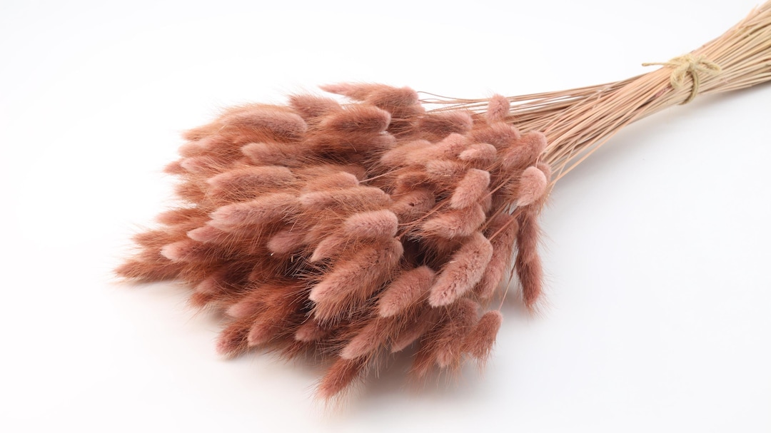Dried Pink Rose Lagurus | Dried Grass in Pink | Pink Brown Bunny Tails | Boho Wedding | Dusty ...