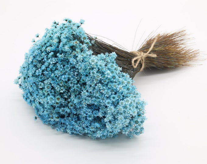 Light Blue Dried Glixia | Mini Dried Flowers | Wedding Flowers | Blue ...