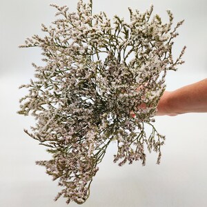 Dried Statice Bunch | White Wedding Flowers | Goniolimon Tataricum ...