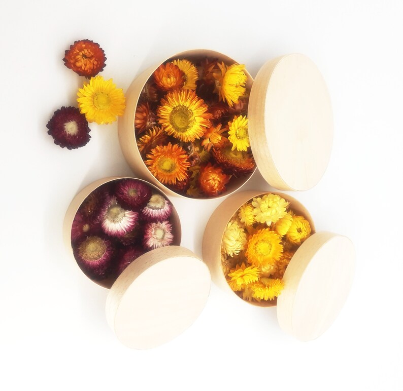 Bentwood Box Nesting Round Wooden Box With Lid Unfinished | Etsy