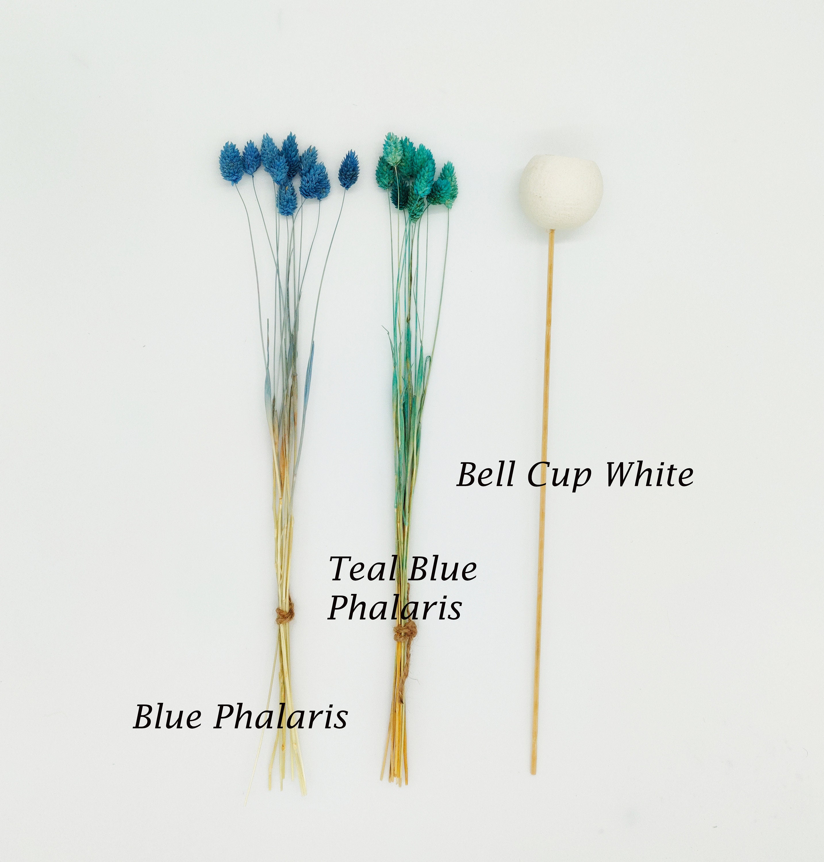 Blue Dried Flowers DIY Dried Flower Bouquet Create Your - Etsy