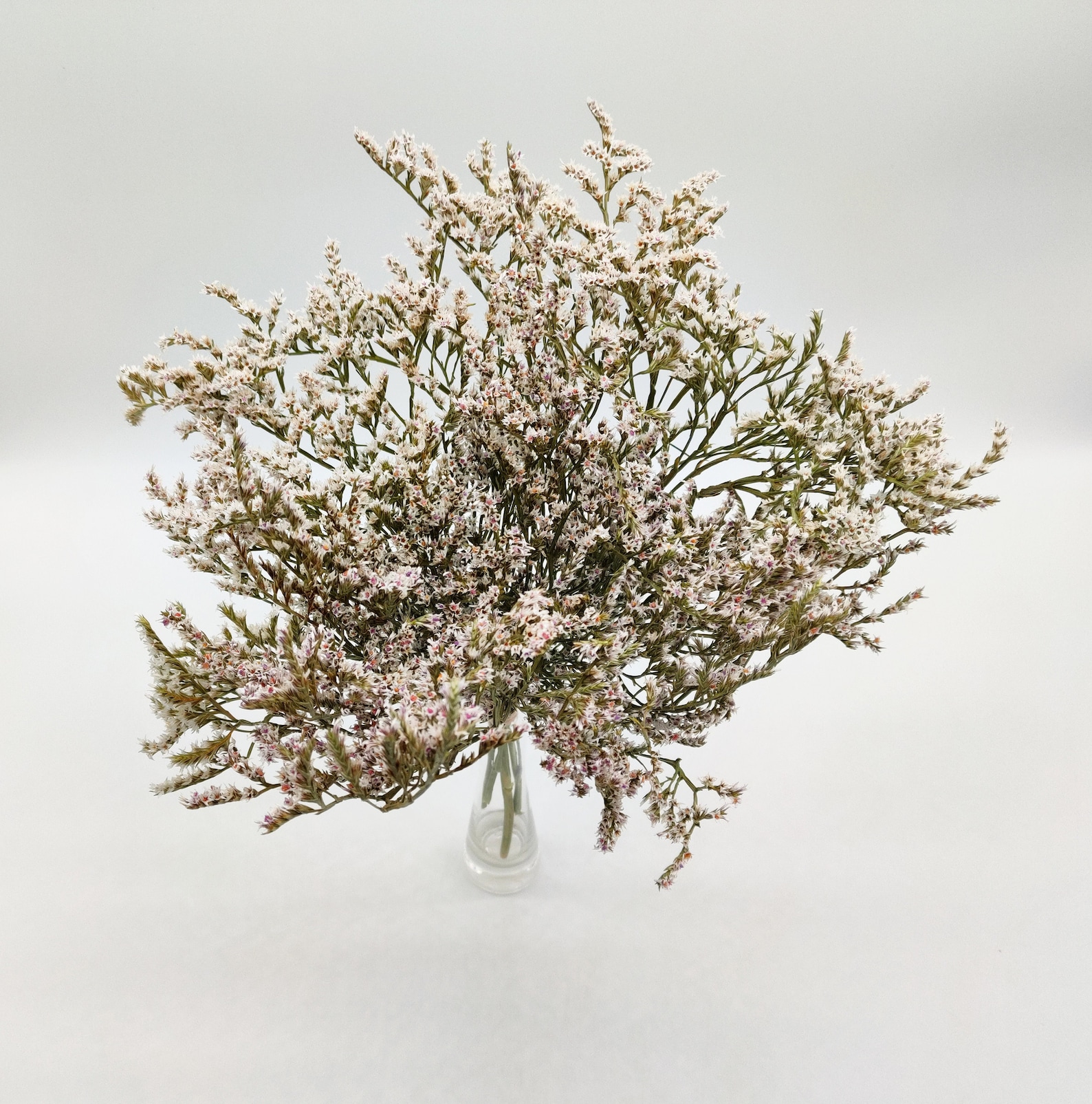 Dried Statice Bunch | White Wedding Flowers | Goniolimon Tataricum ...