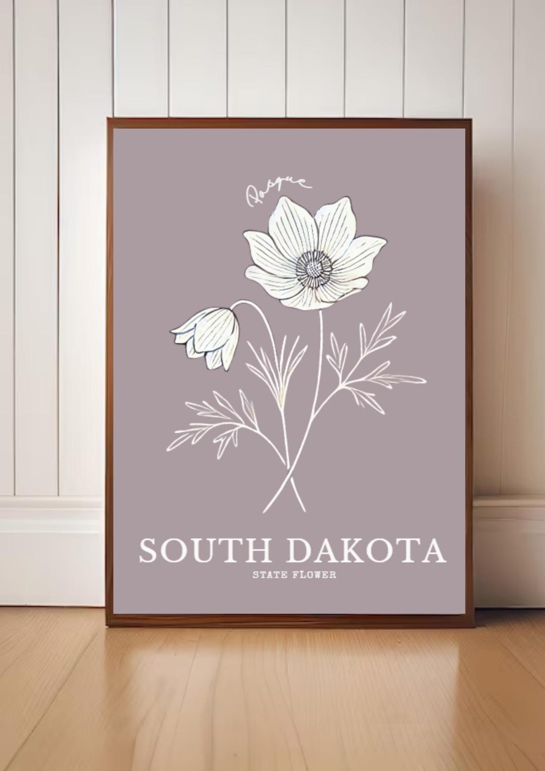 South Dakota Pasque Flower Digital Art – Minimalist State Flower ...
