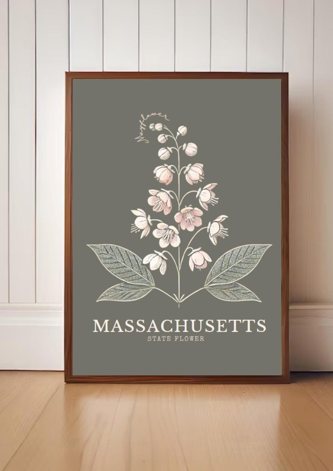 Massachusetts Mayflower Digital Art – Minimalist State Flower Botanical ...