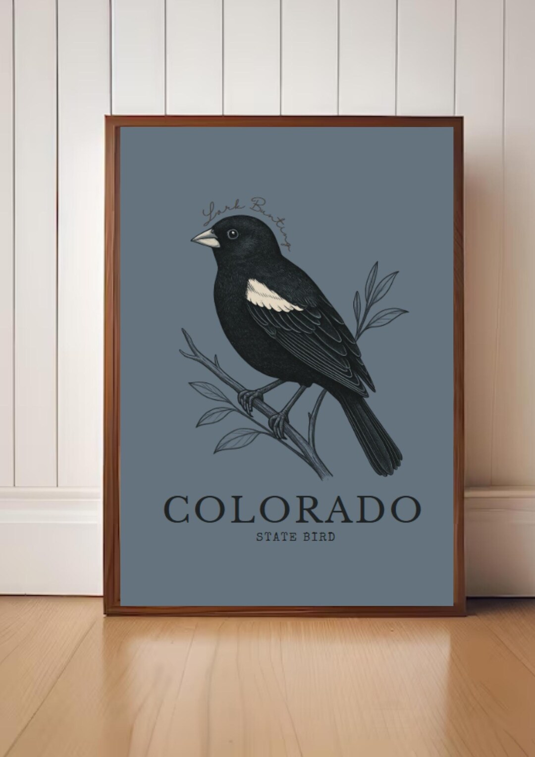Colorado State Bird Art Print – Lark Bunting Vintage Blackbird ...