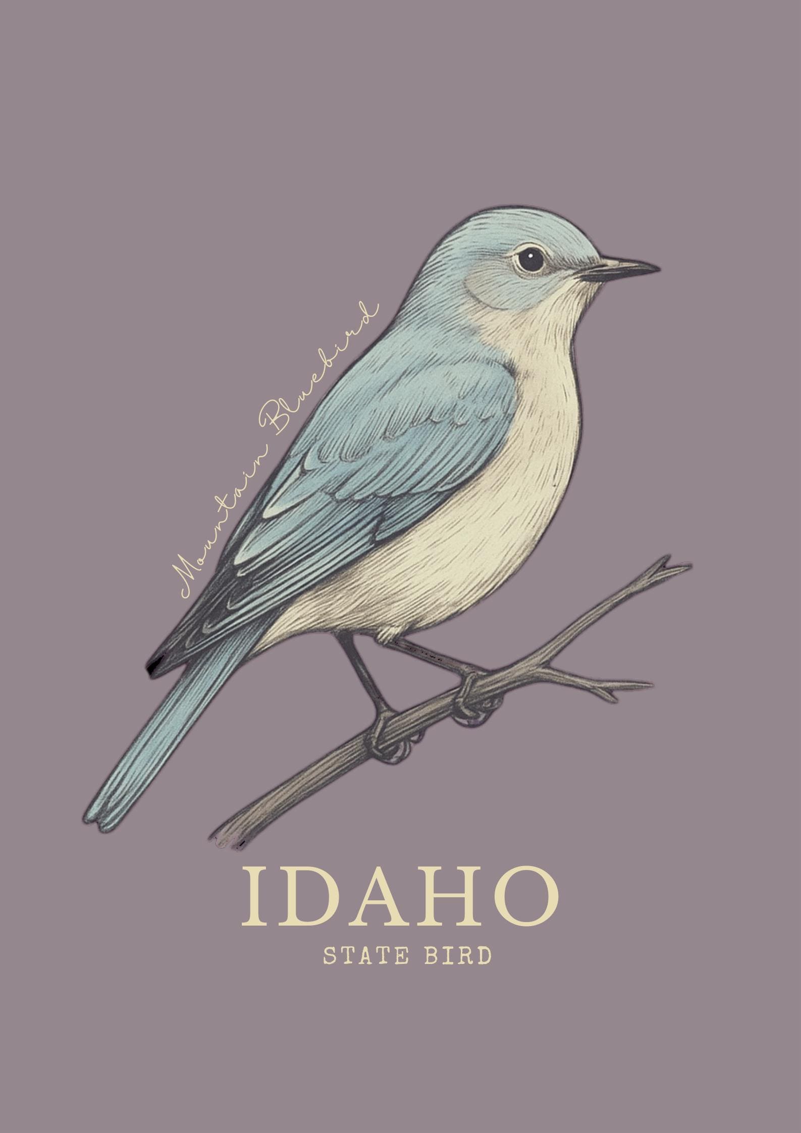 Idaho State Bird Art Print – Mountain Bluebird Vintage Botanical ...