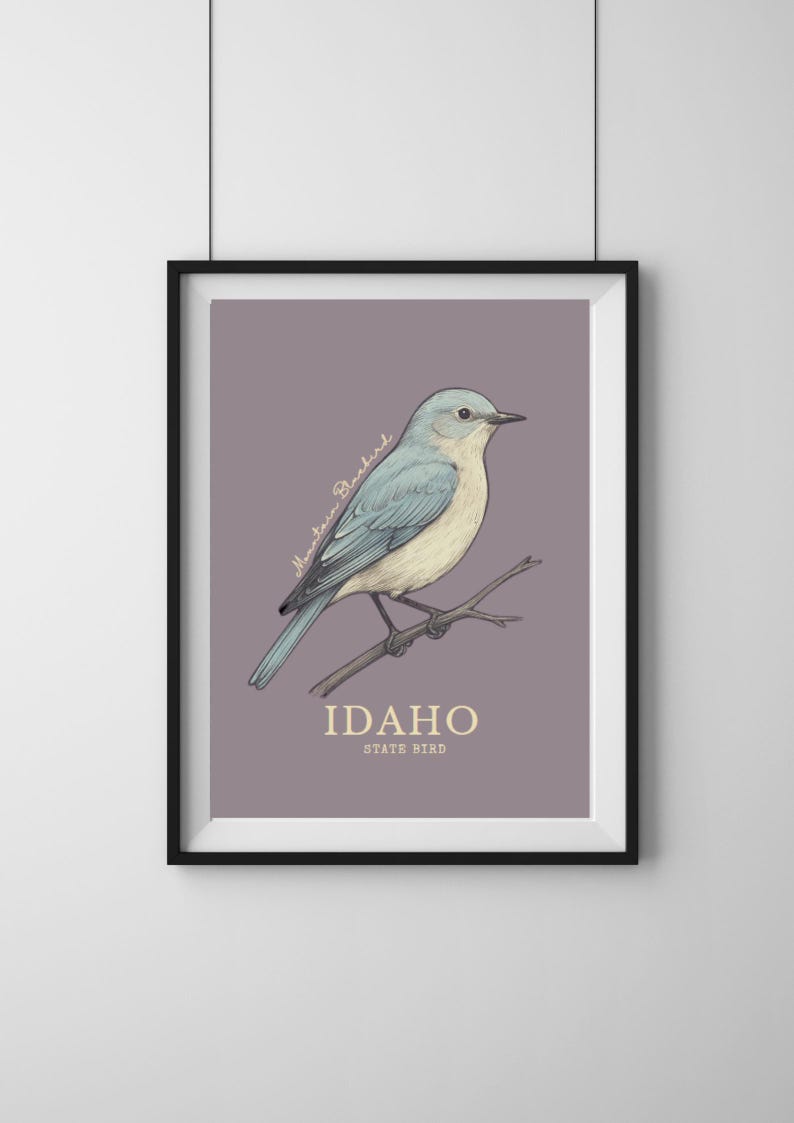 Idaho State Bird Art Print – Mountain Bluebird Vintage Botanical ...