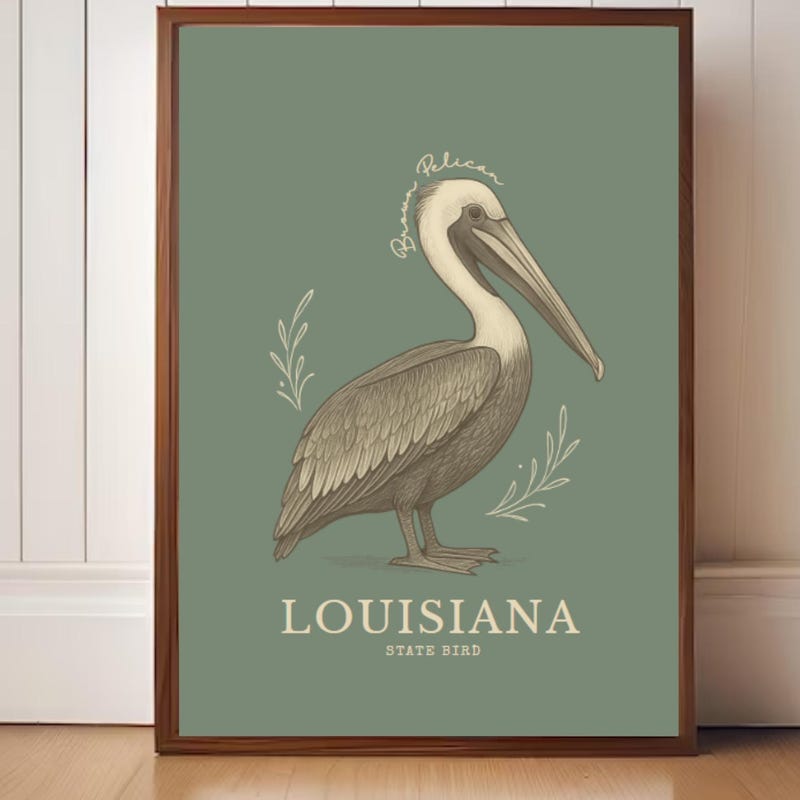 Pelican Paintings - Etsy