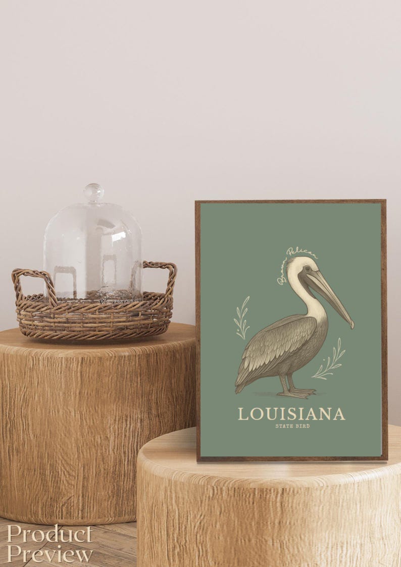 Louisiana State Bird Art Print – Brown Pelican Vintage Coastal ...