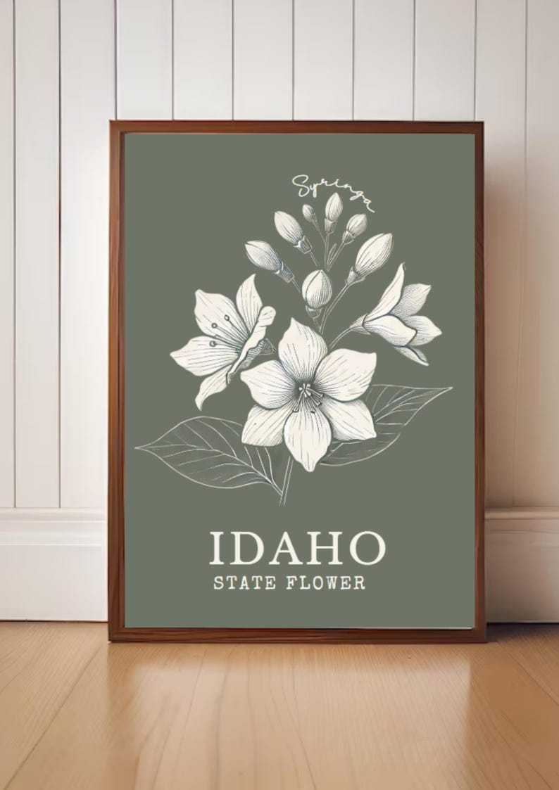 Idaho Syringa Digital Art – Minimalist State Flower Botanical Wall ...