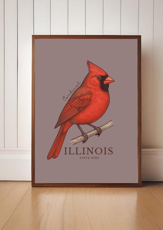 Illinois State Bird Print