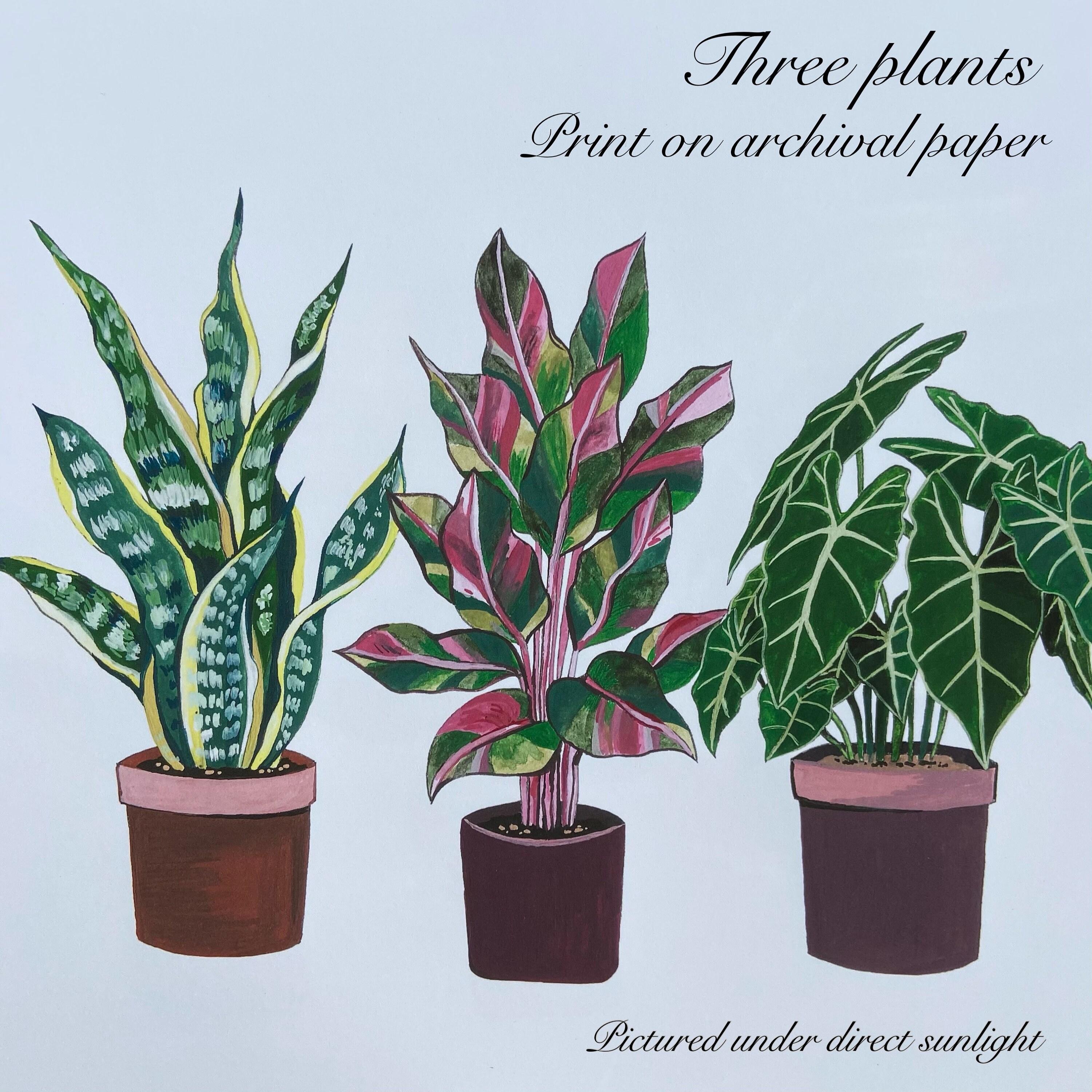 Pink Princess Philodendron Painting Art Print Gouache Plant Art - Etsy