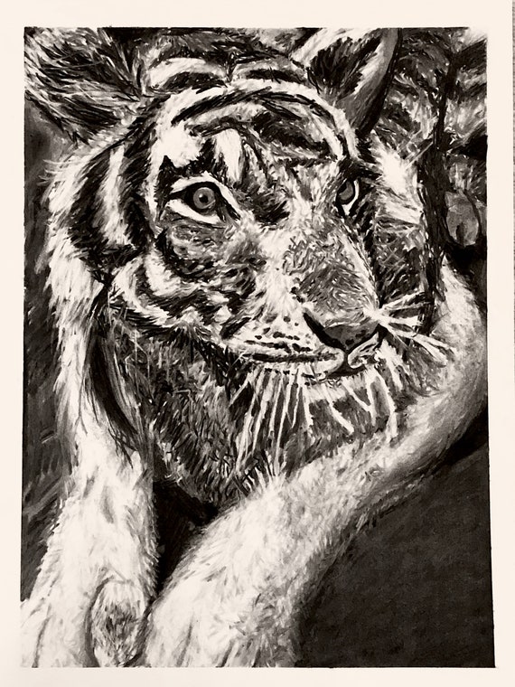 Tiger Charcoal Drawing - Etsy