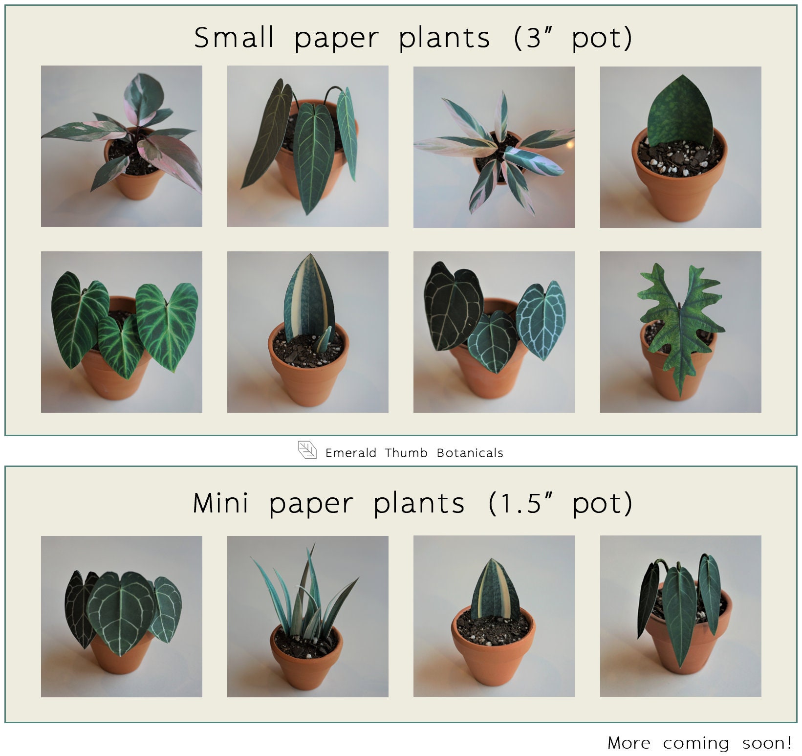 Mini Handmade Paper Plant Sansevieria Sayuri Rare - Etsy