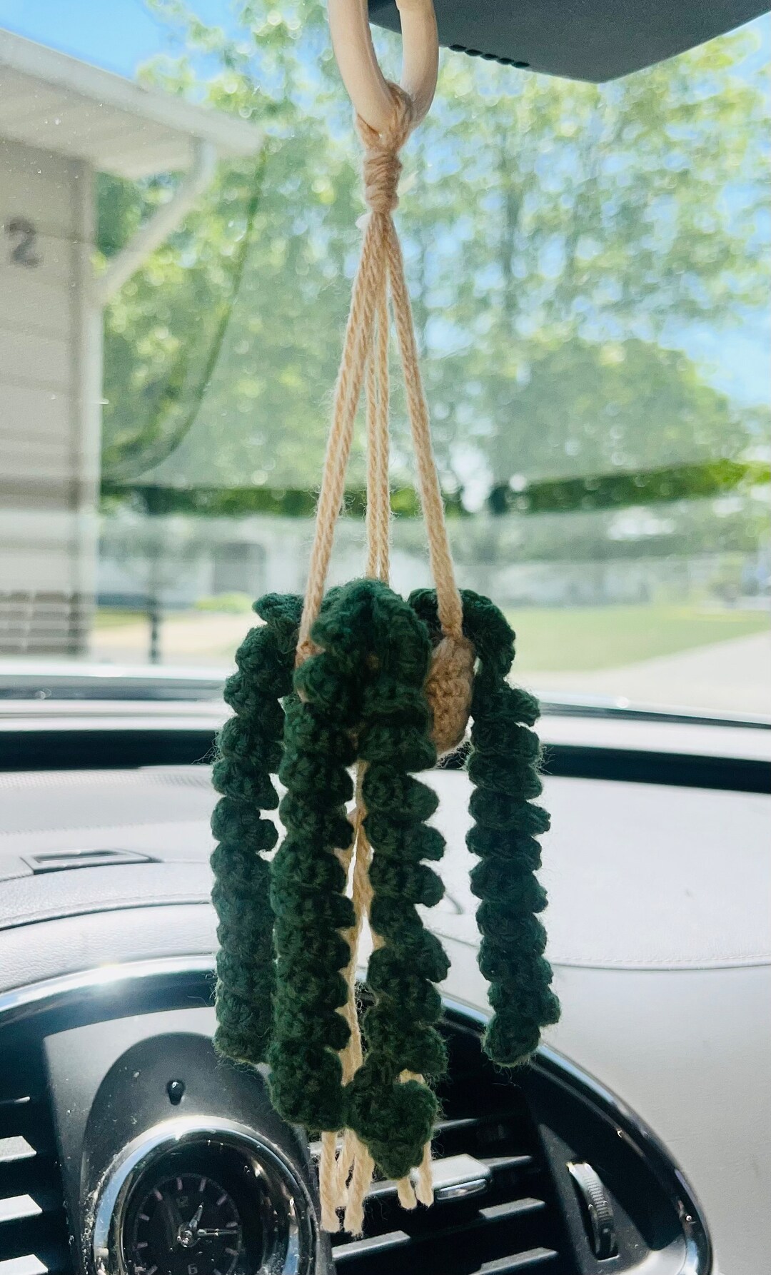 Tiny Hanging Swirly Plant - Etsy
