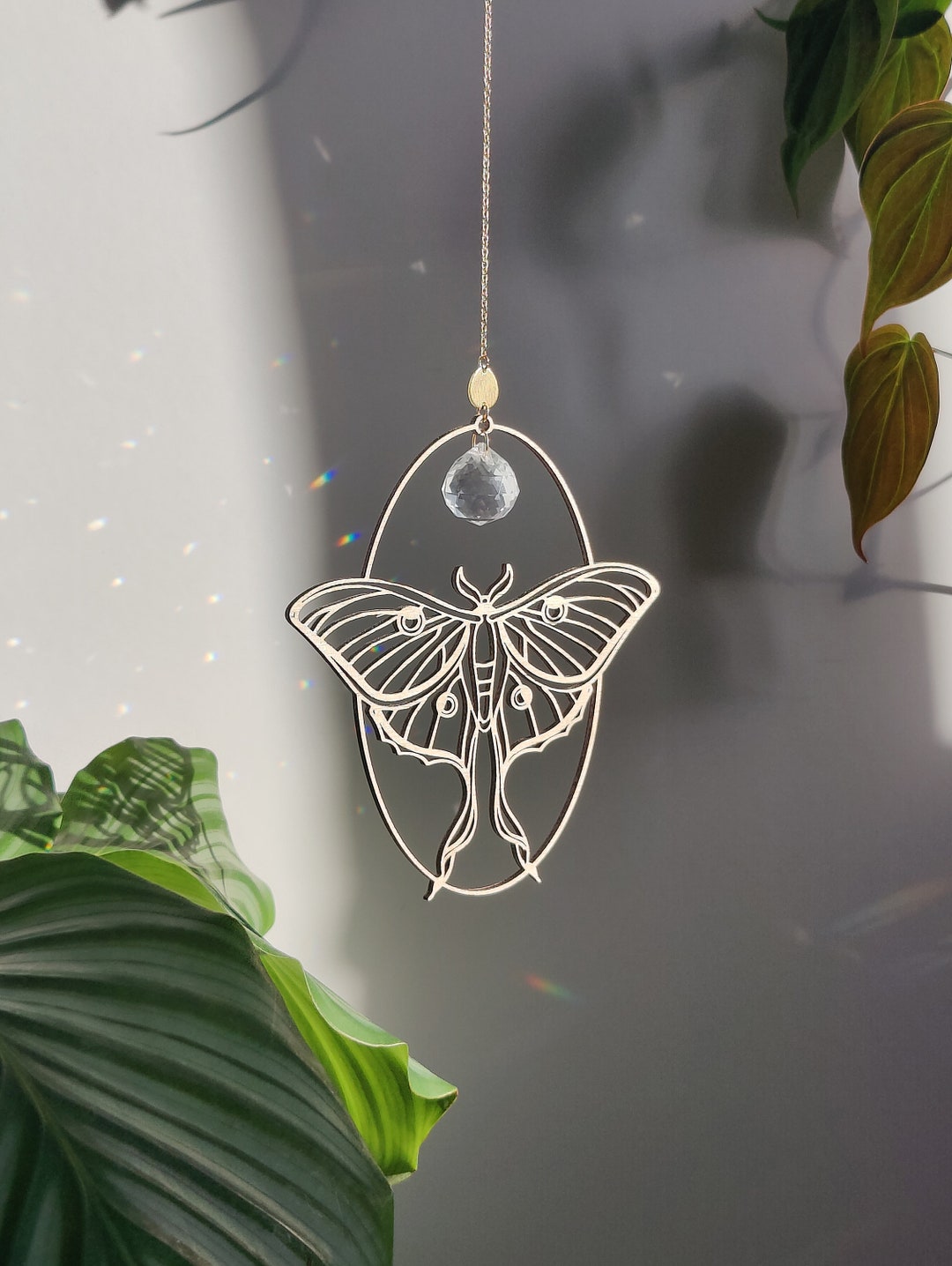 LUNA MOTH • Wood & Crystal Suncatcher • Window Hanging Decoration ...
