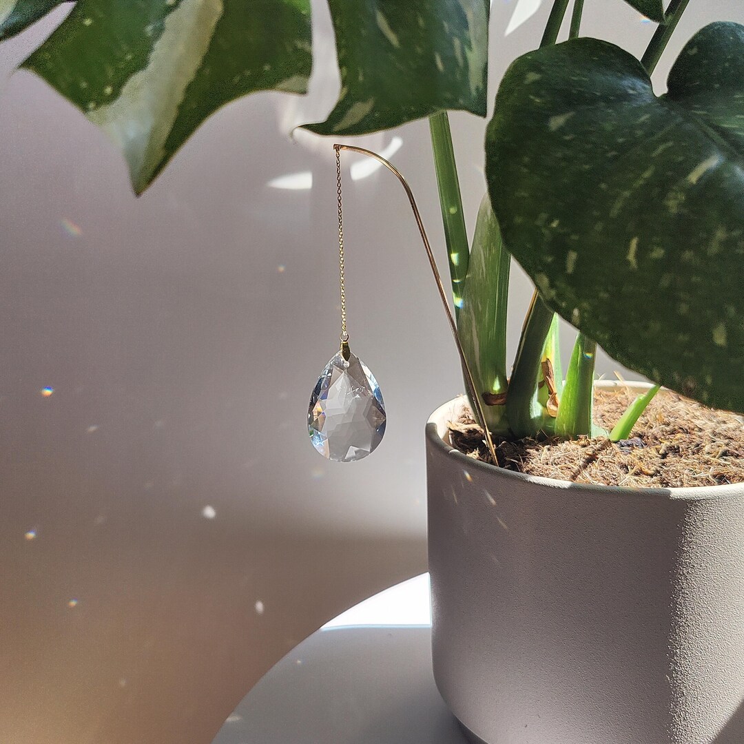 IRIS • Plant Suncatcher in Brass and Crystal • Indoor Light Catcher ...