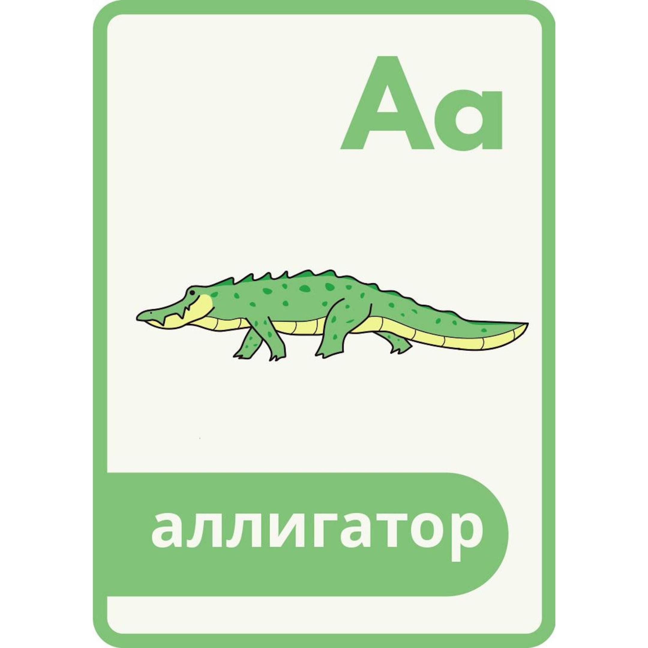 Printable Set of Cards Russian Alphabet Animal Theme, Animal Alphabet ...